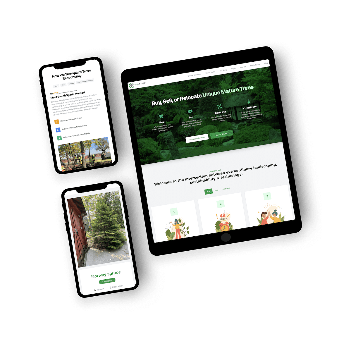RE-TREE » Detroit's Web Development Agency | Codified